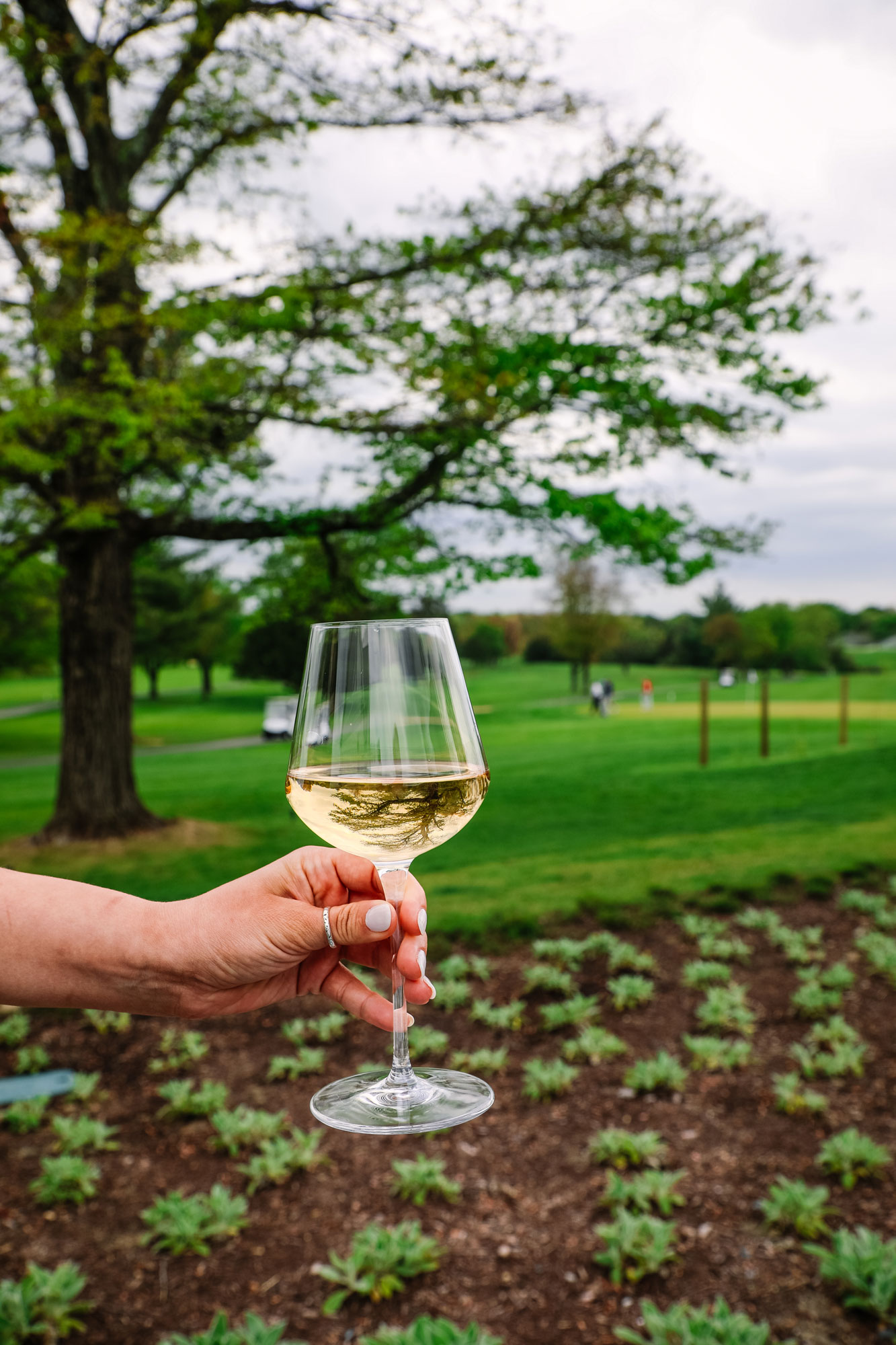 About - The Crossvines - Poolesville, MD