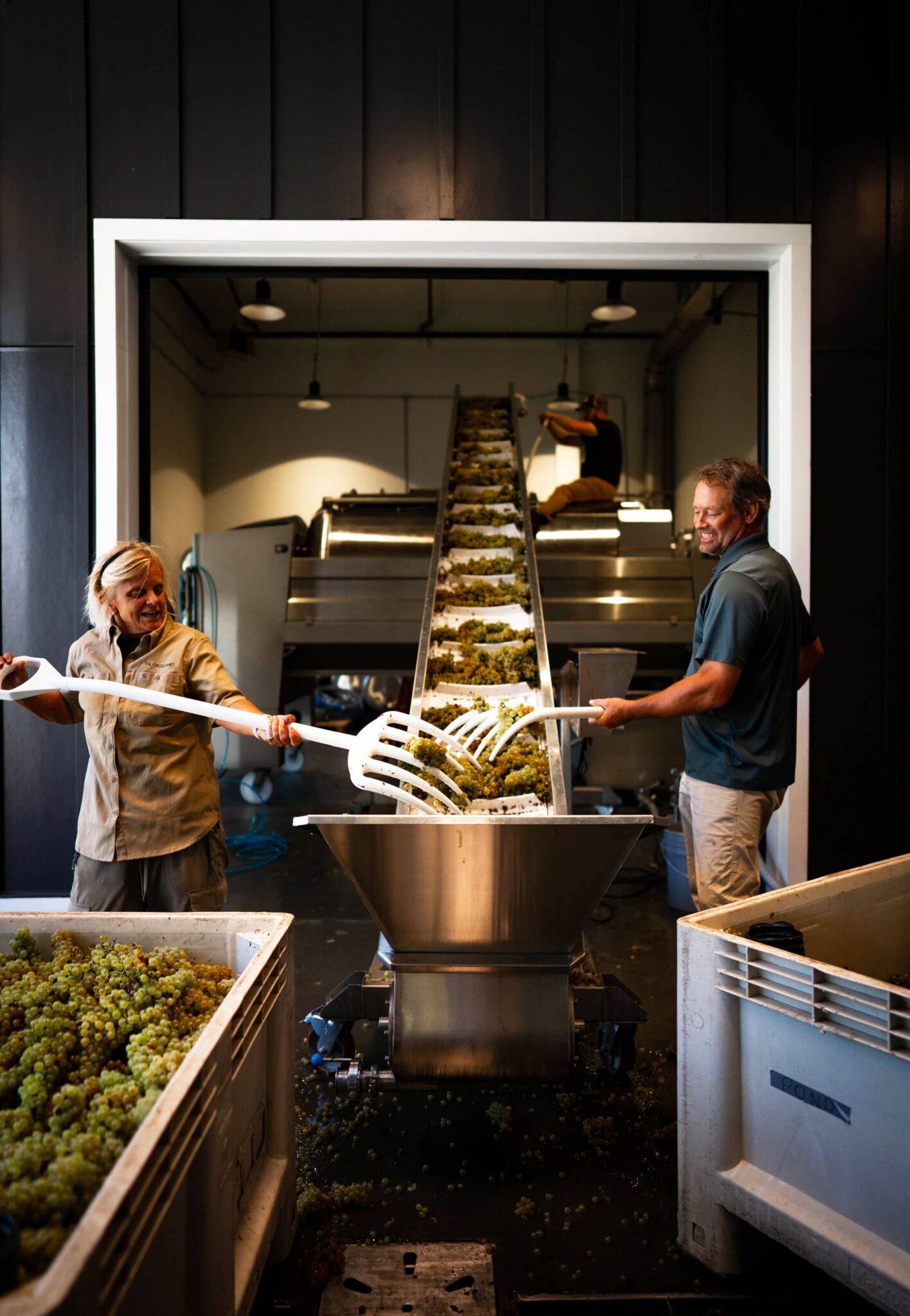 Wine Production - The Crossvines - Poolesville, MD